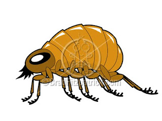 life is short story: Kutu Kucing Kupret