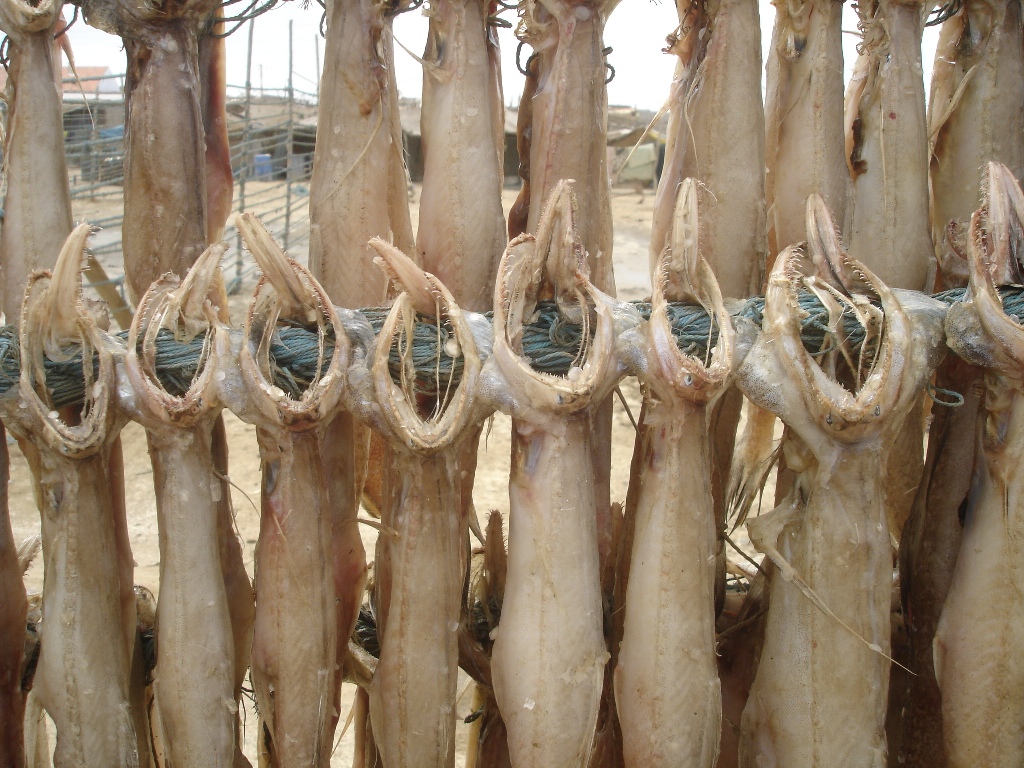 Jakhau in Kutch - the land of the dried, dead fish