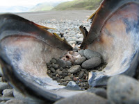 Lekkerkry Plaas: Lekker week vir almal!