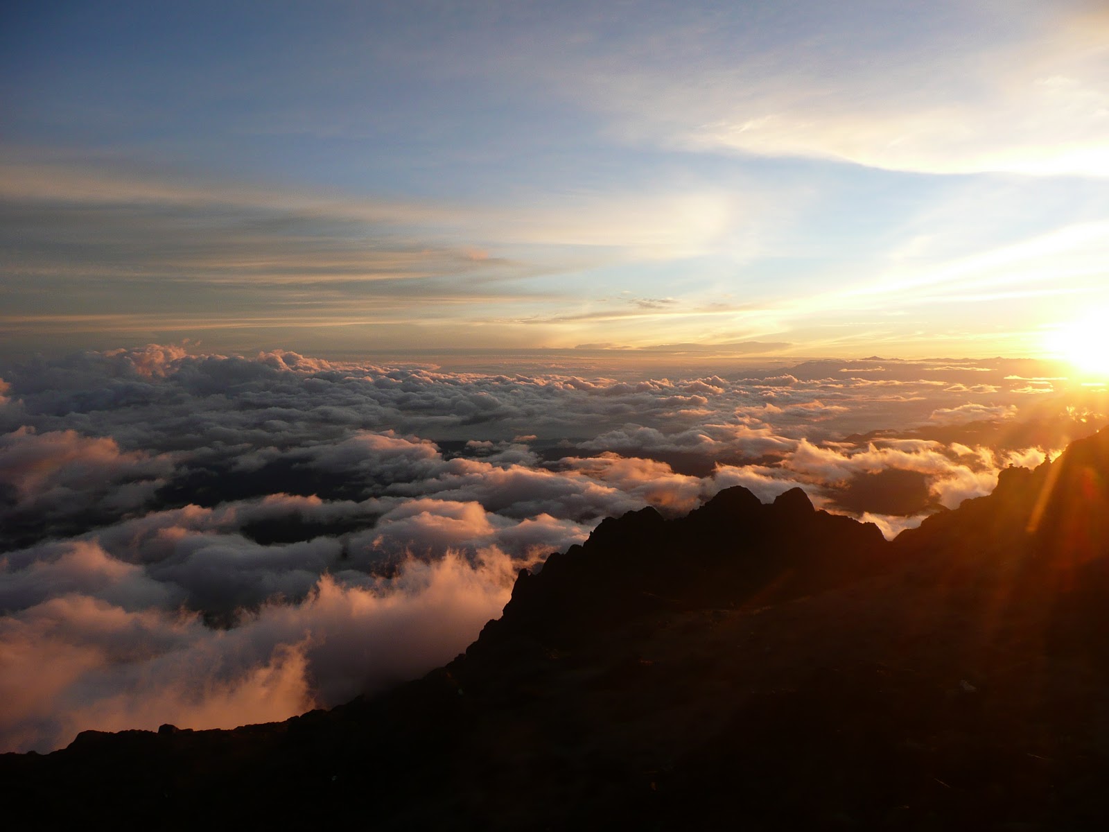 Mutterings of a Mid-Aged Mutt: Magnificent Mt. Wilhelm!