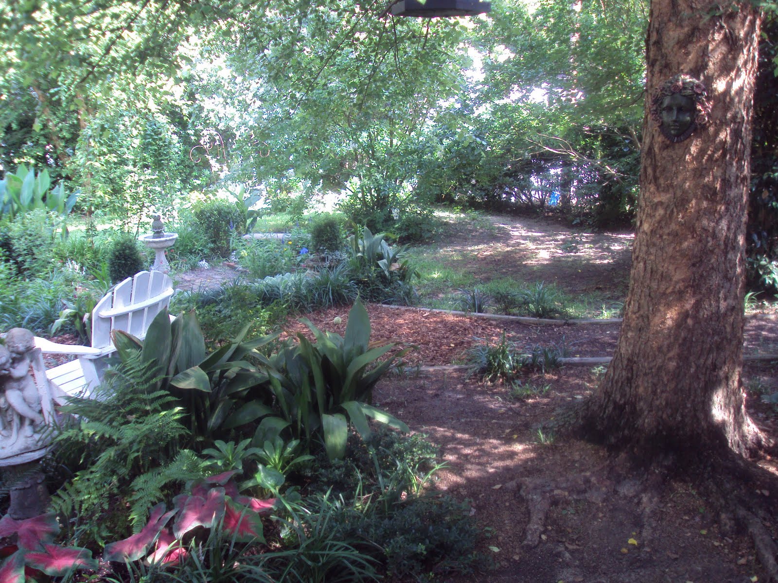 Antique ART Garden: My GARDEN Lady Face on My Tree