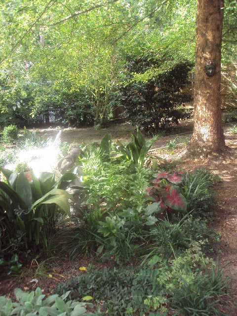 Antique ART Garden: My GARDEN Lady Face on My Tree