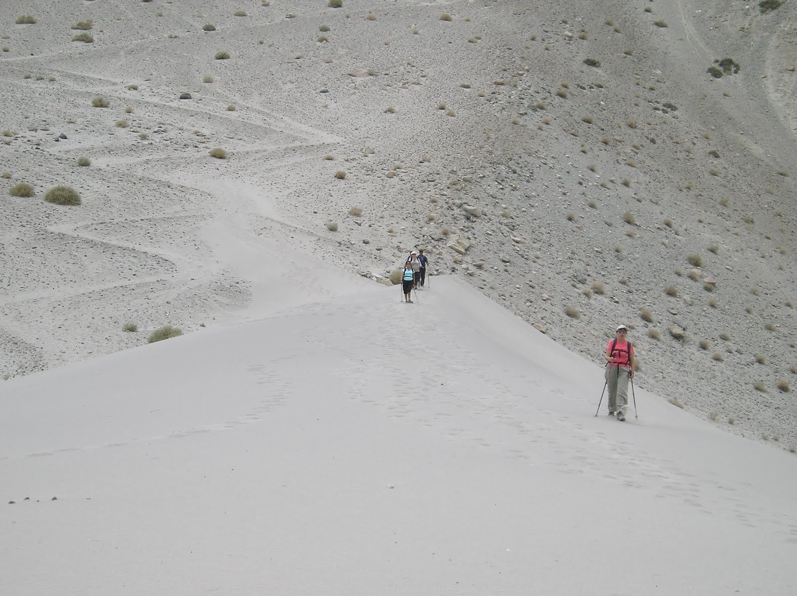 LAUKOAK: (20100903 al 06) Saboo - Digar La - Digar - Shiok Valley - Rong.