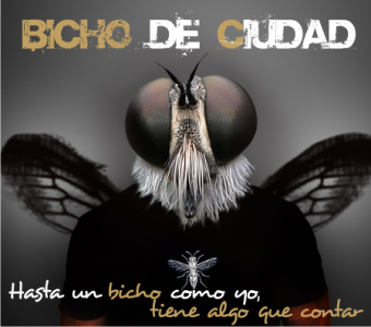 Bicho de Ciudad