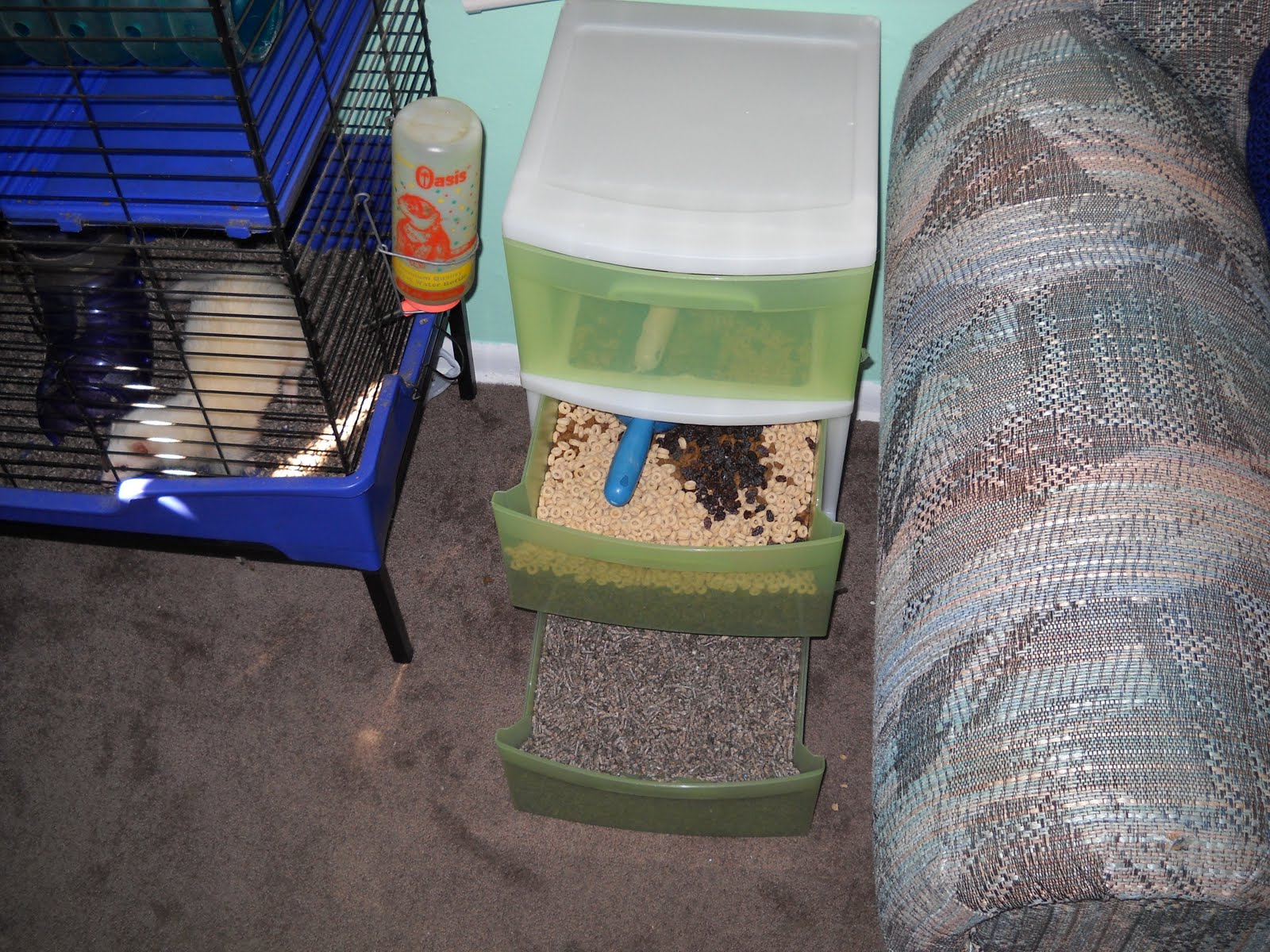 Ferret Litter Box Ideas at Richard Day blog