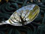 Just For Fun - Why Are You Upside Down in the Reflection of a Spoon?