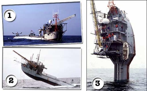 Asma Rehan: FLIP...The Floating Instrument Project