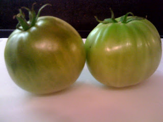 Recipes for Sunshine: Gramma Jensen's Fried Green Tomatoes