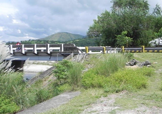 OUR PHILIPPINE TREES: Kampupot sa Ilalim ng Tulay!