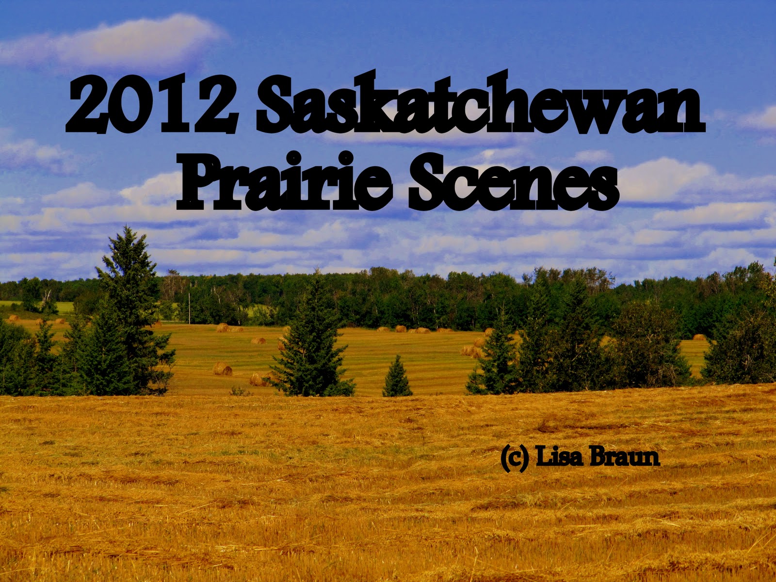 Photography by Lisa: 2012 Saskatchewan Prairie Scenes