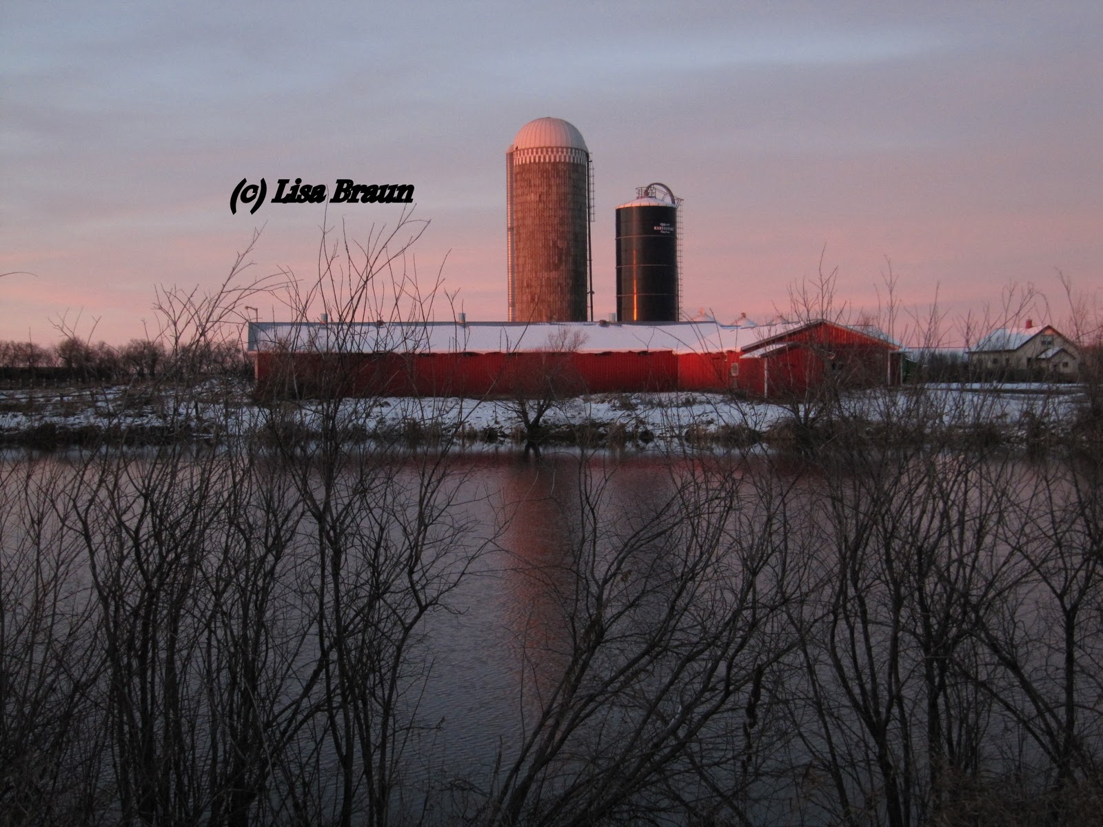 Photography by Lisa: 2012 Saskatchewan Prairie Scenes
