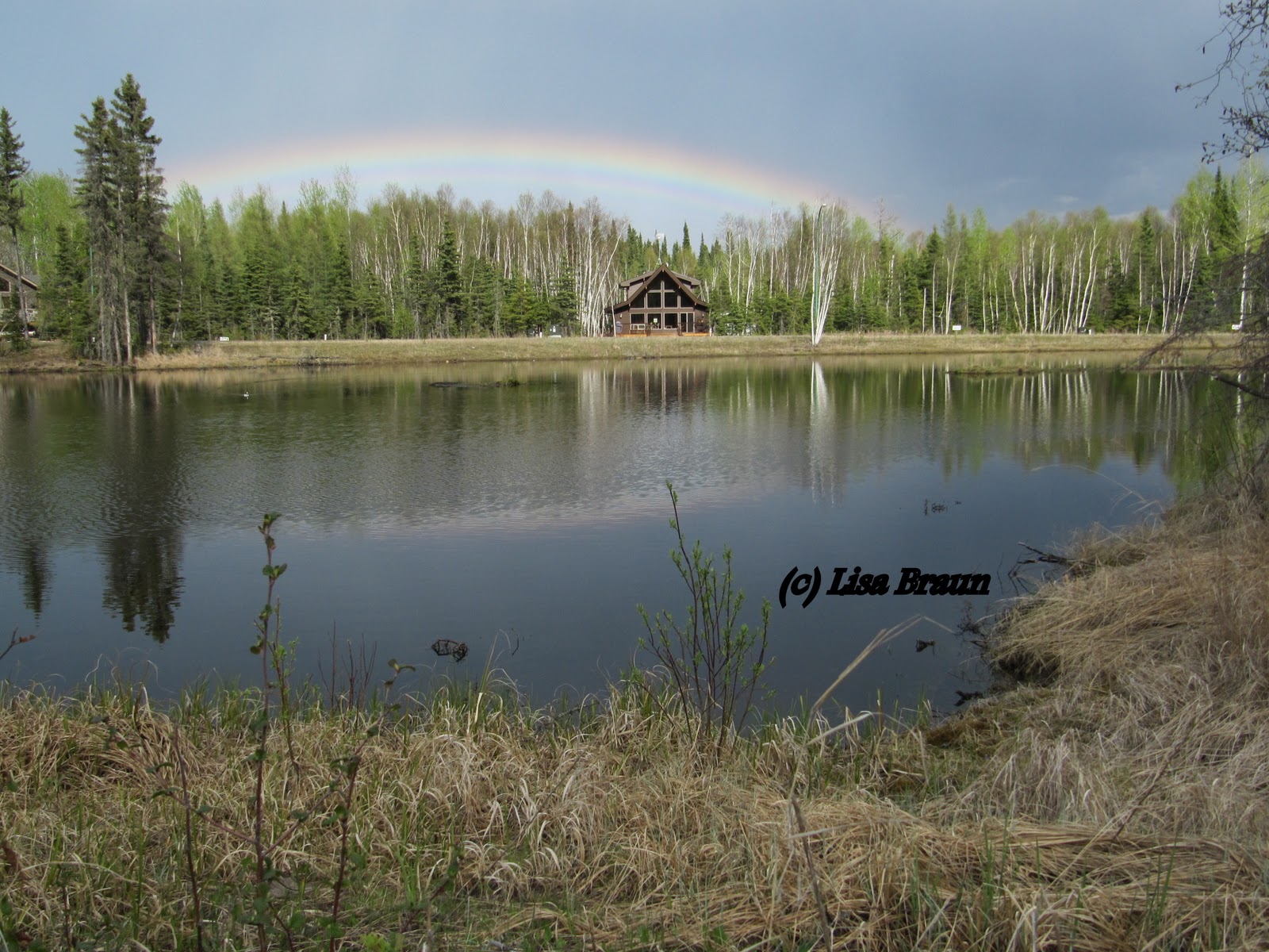 Photography by Lisa: 2012 Saskatchewan Prairie Scenes