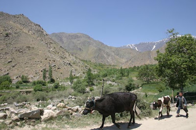 thruafghaneyes: Valley of Paghman