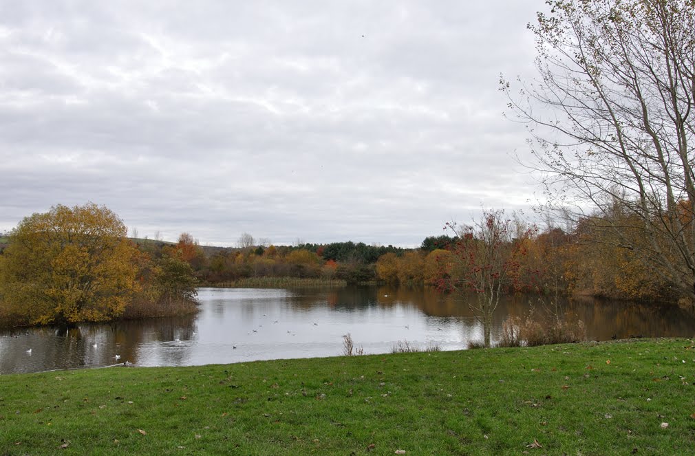 North Fife: Birnie Loch November 2010