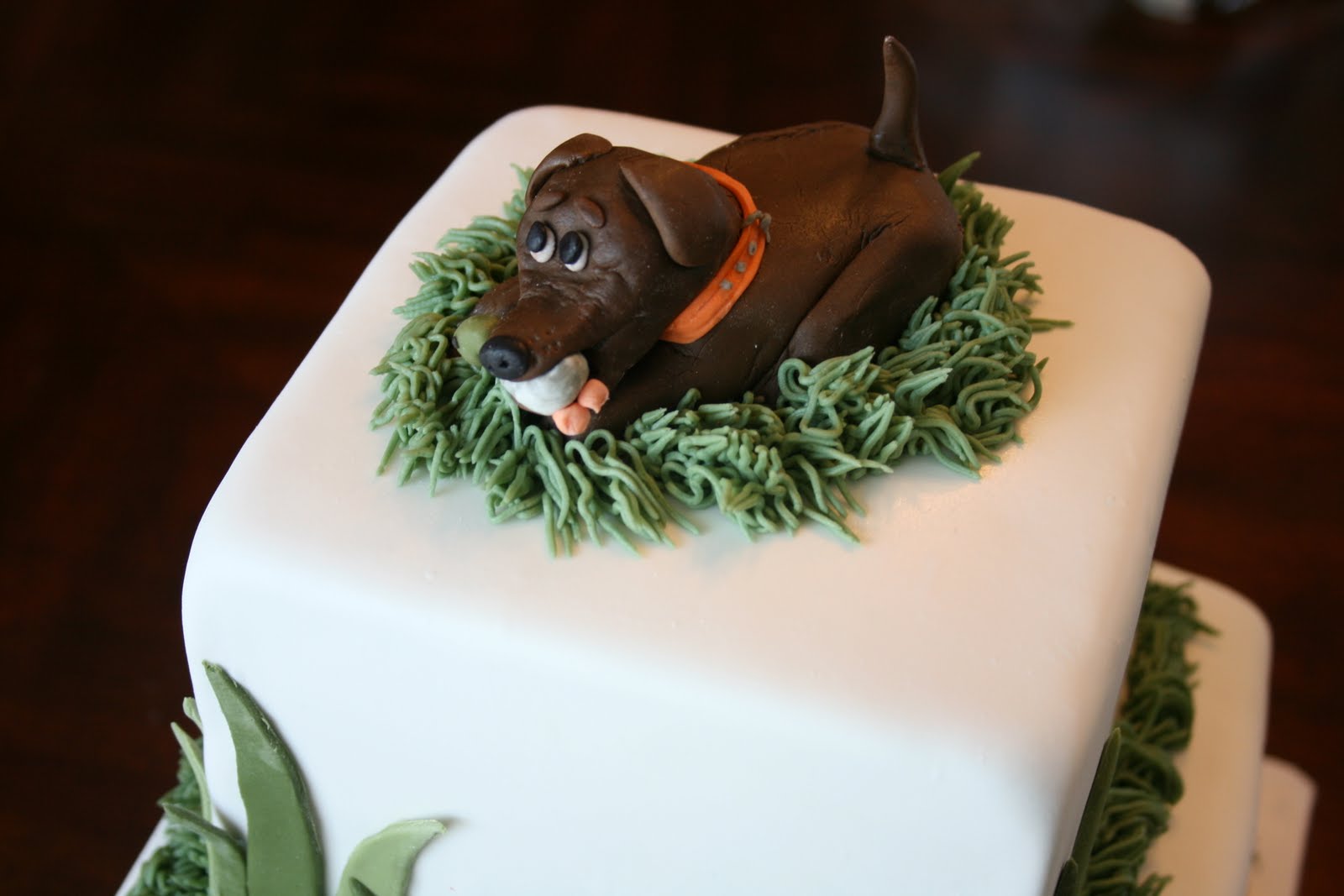 And Everything Sweet: Labrador Retriever Cake