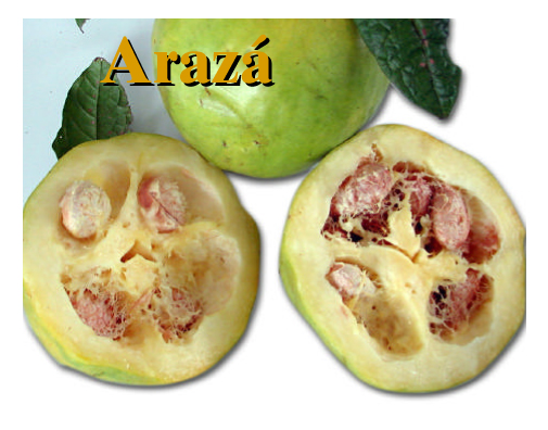ARAZA