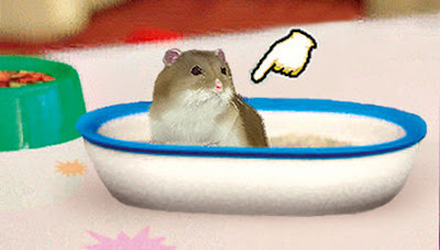 The Best Game Collections: Petz: My Baby Hamster PSP Gameplay