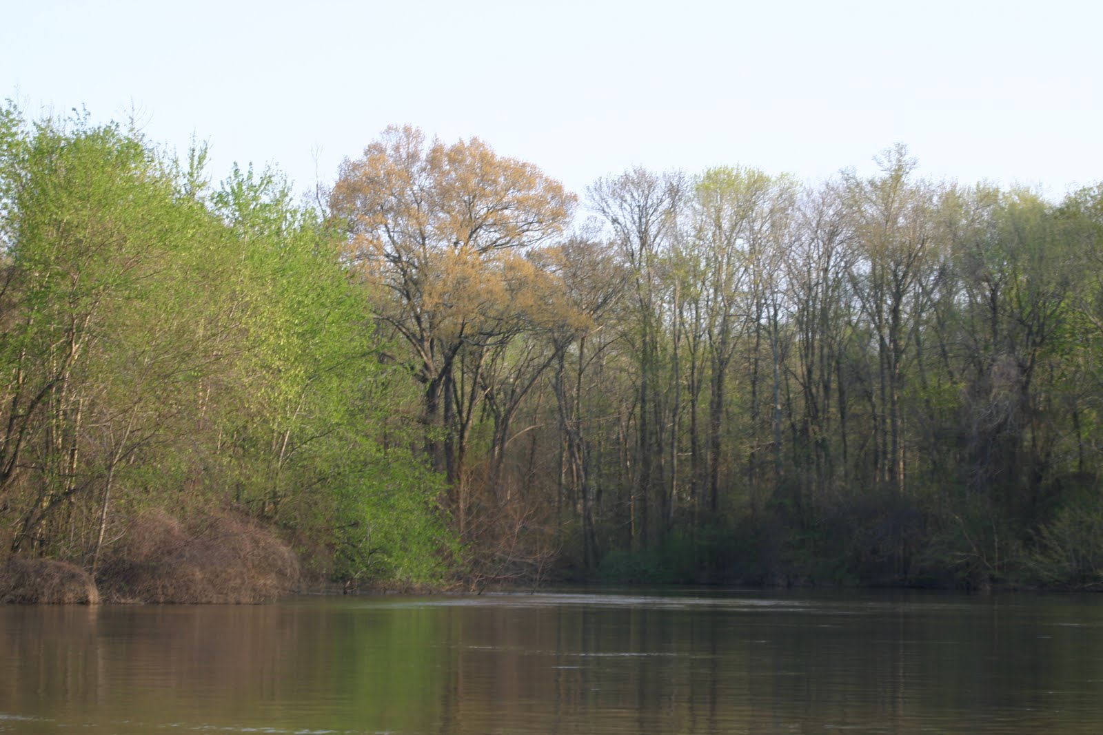 Tennessee's Scenic Hatchie River: Easter River Ride