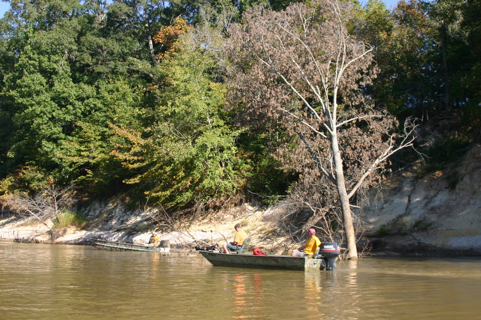 Tennessee's Scenic Hatchie River: Hatchie Clean up number 2