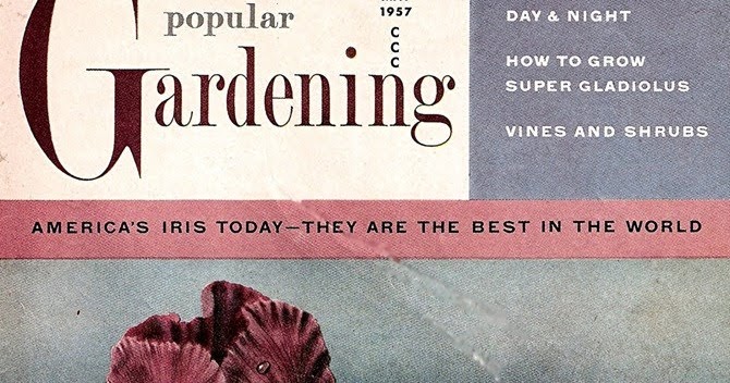 'U.S. Iris through N.Z. Eyes' Popular Garden Magazine Article 1957 ...