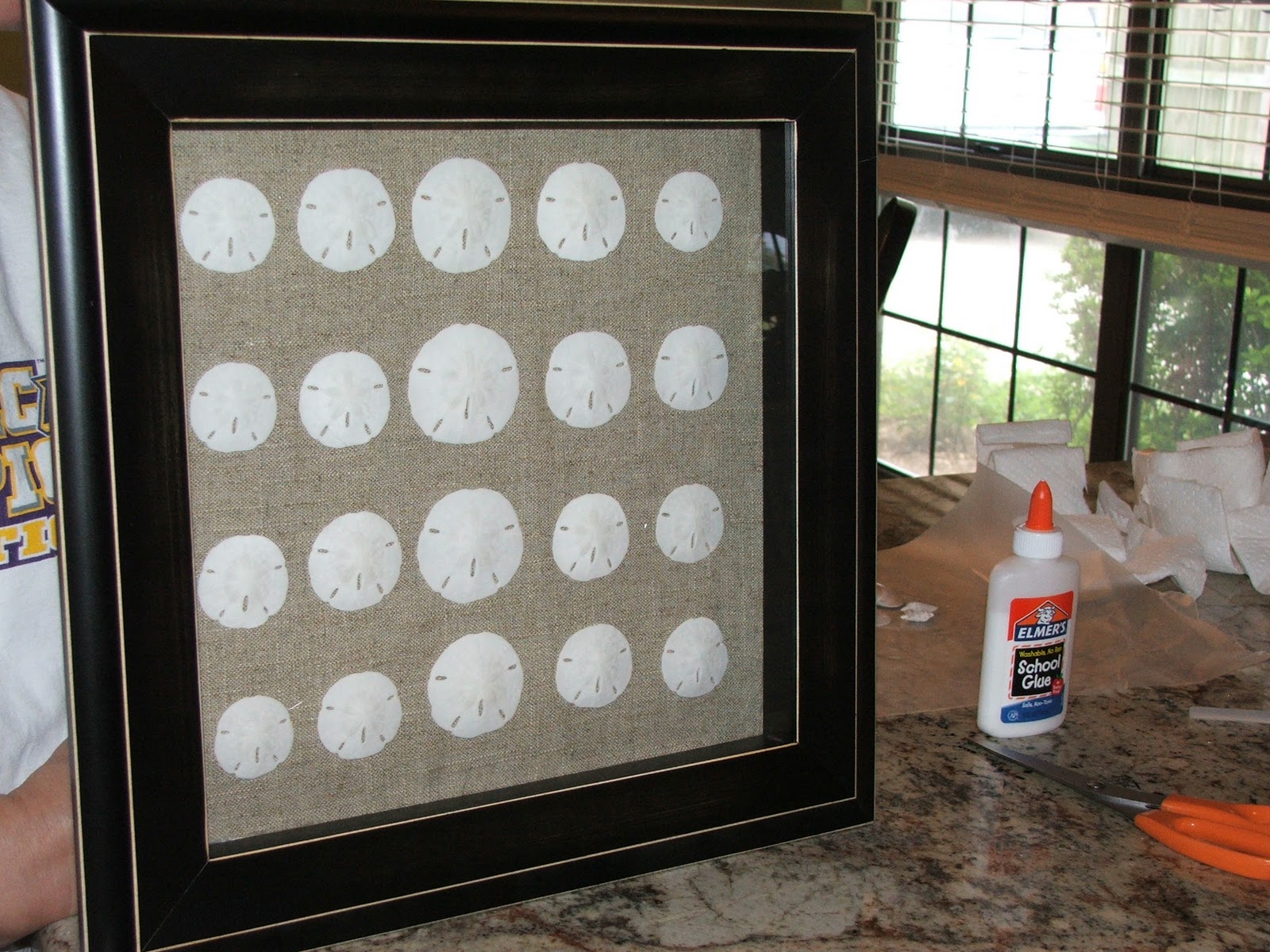 The Better Part: Sand Dollar Shadowbox