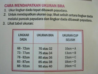 Lasta Masta: 10 Besar Ukuran Bra Artis Indonesia