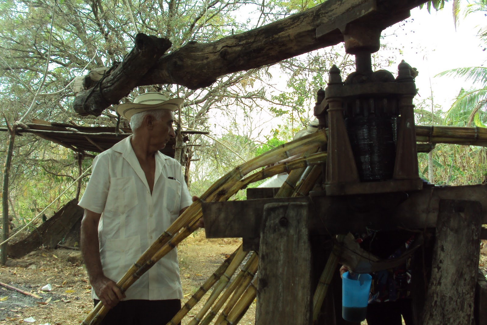 Conservación: El trapiche
