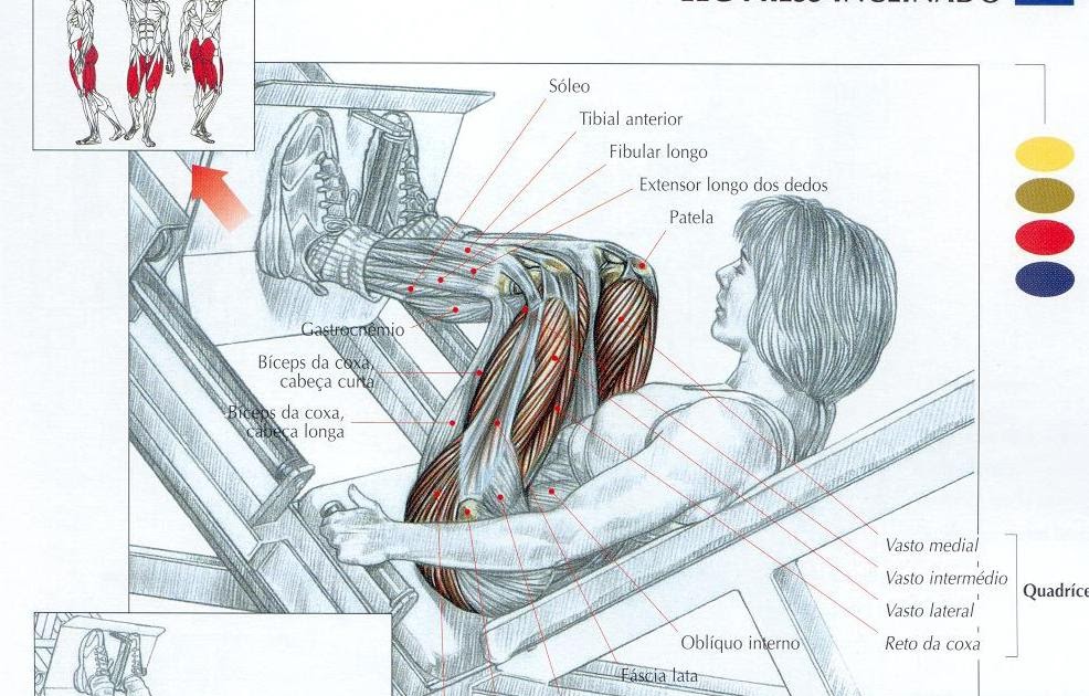 Equipe Turbinados: PERNAS - LEG PRESS 45°