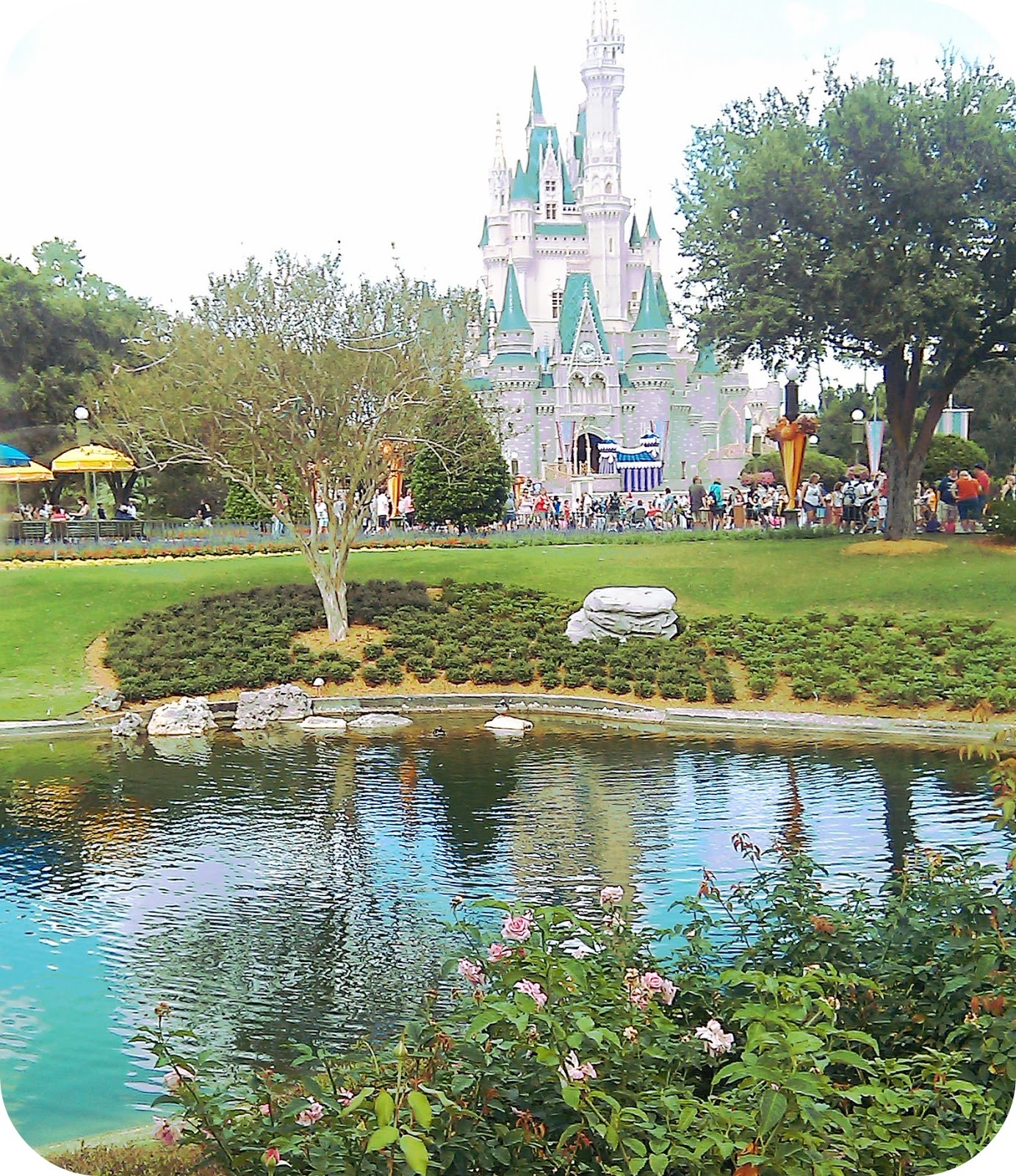 The Yorktown Owens: Disney World at Halloween Pictorial Part Three ...