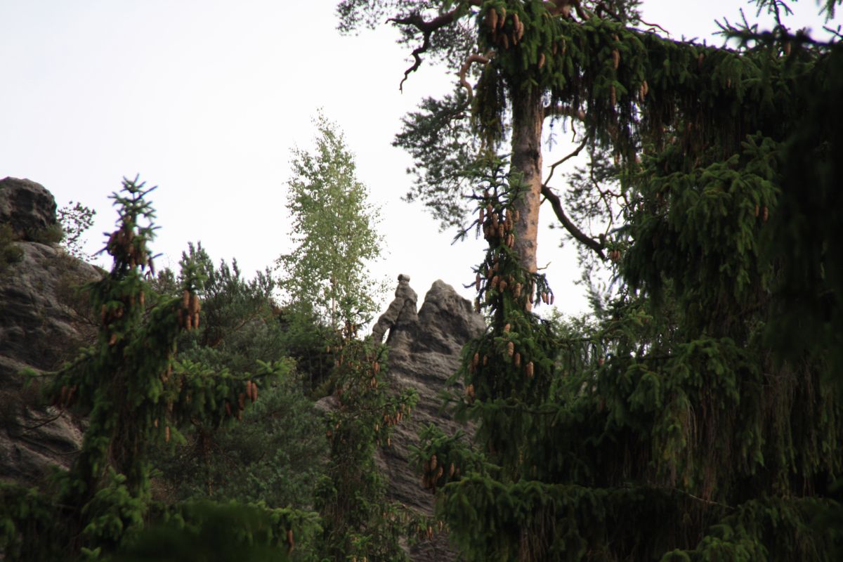 UPSontheroad: Day 6: Walking along Teplice Rocks