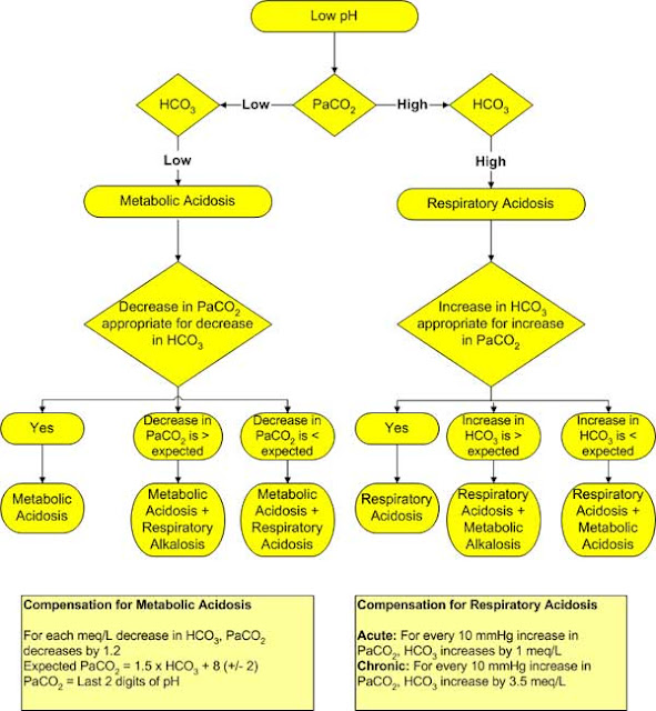 learn anesthesia and have fun: simlpe and practical approach to acid ...