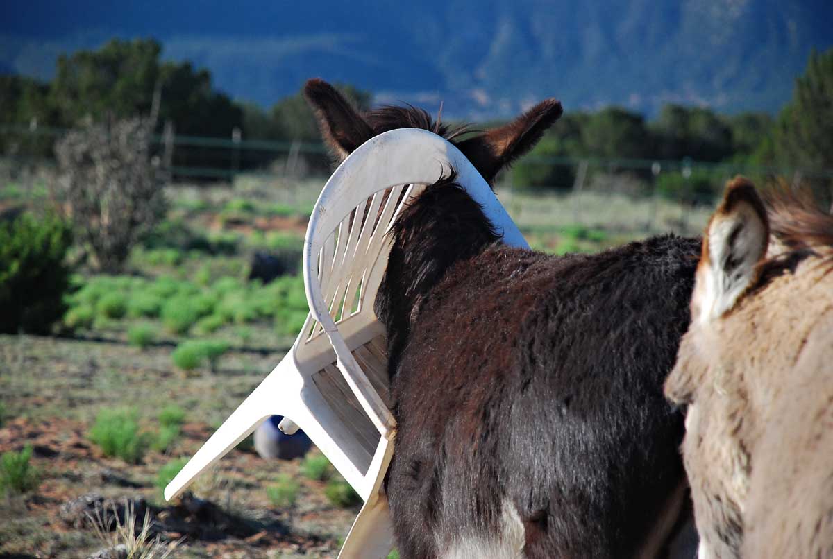 The 7MSN Ranch: This seat is taken