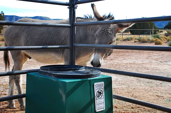 The 7MSN Ranch: Solar-heated Water Trough product review
