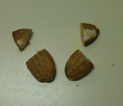 NUTS ON NUTS: CUT NUTS