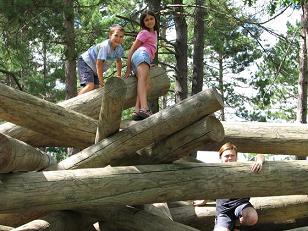 The Learning Landscape: In Search of Log Climbers