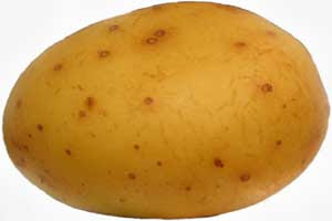 William's Filipino Recipes: William's Filipino Recipe 12: Creamy Cheese ...