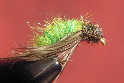 A Flytyer's Journey: America's Dark Blue Sedge - Video is Awesome!