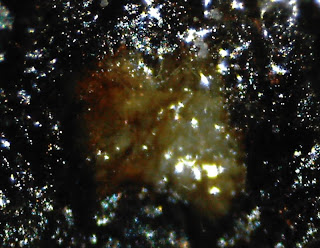 Blackholes and astrostuff: The Saskatchewan (Buzzard Coulee) Meteorite ...