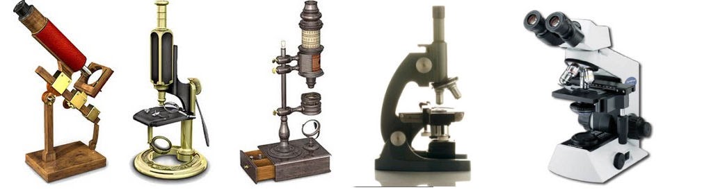 CIENCIA Y TECNOLOGÍA: MICROSCOPIO