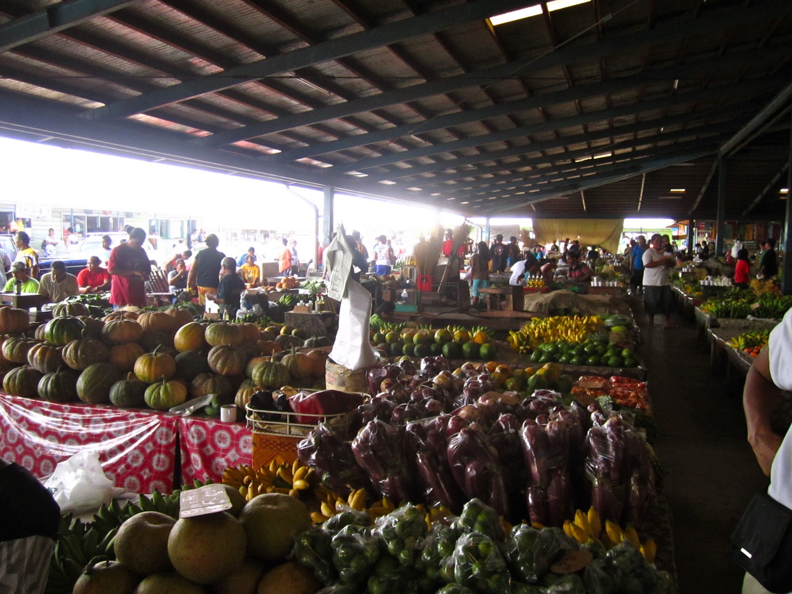 THE TEO'S: Our First Trip To SAMOA! (and hopefully the last... just ...