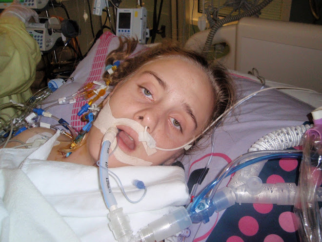 Megan's Heart for Life: My Favorite TV Show J.O.N.A.S