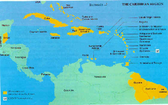 Critiquing Regional Integration: CARICOM Hits the (Financial Crisis) Fan?