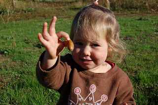 How to Hatch a Tree - Nature Moms