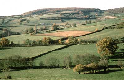 blog de sociales: Bocage