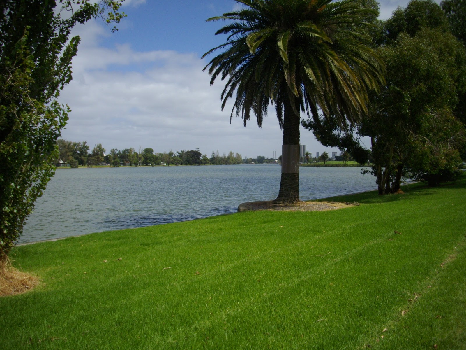 Abroad in Oz: Tram Shablam