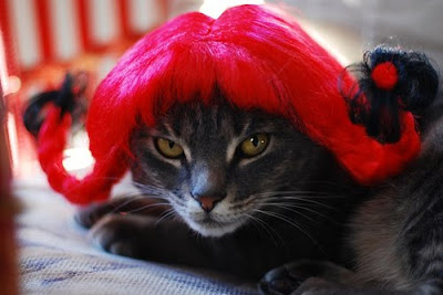 Kitty Stampede: Cats in Costume