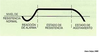 CIENCIAS DE SALUD: FASES DEL ESTRES