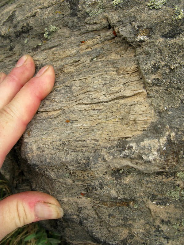 Looking For Detachment: Oregon Trip Day 2: A Hike near Jarbidge across ...