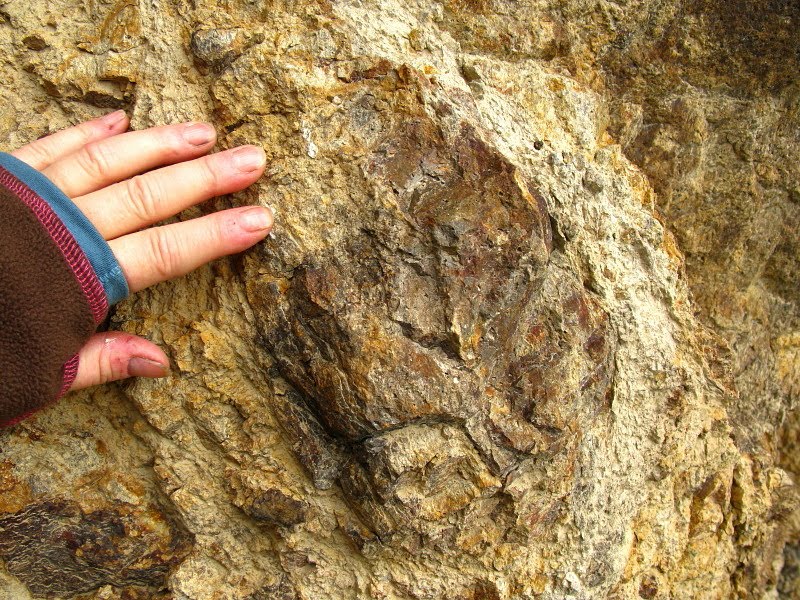 Looking For Detachment: Geology on the Road: Breccia with Flow-Banded ...