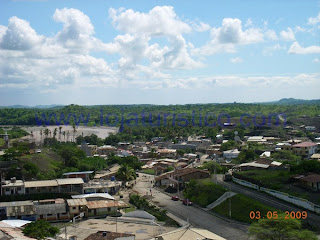 Zapotillo tierra caliente: Descripcion